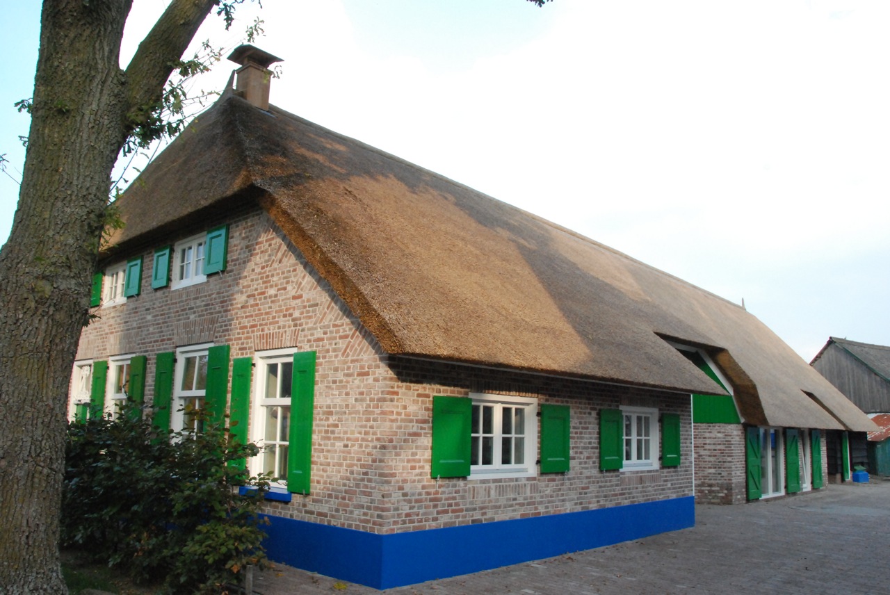 Staren in een broedkast - de Groene Eend